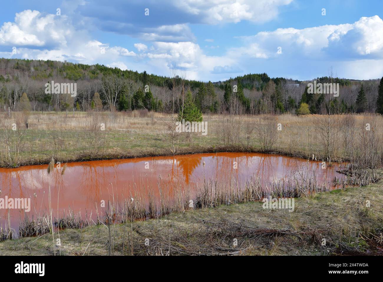 Sedimentation basin on old copper mining site. Pond with orange water ...