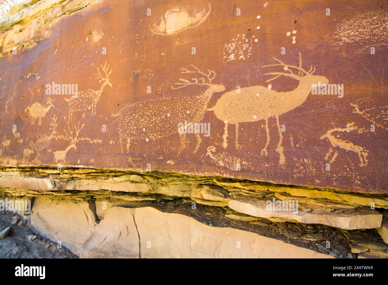Nefertiti Petroglyphs, Gray Canyon, North of Green River, Utah, USA ...
