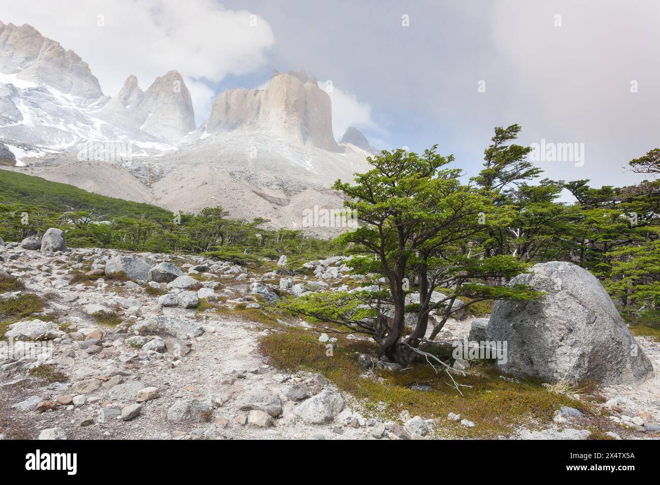 French Valley landscape, Torres del Paine National Park, Chile. Cuernos ...