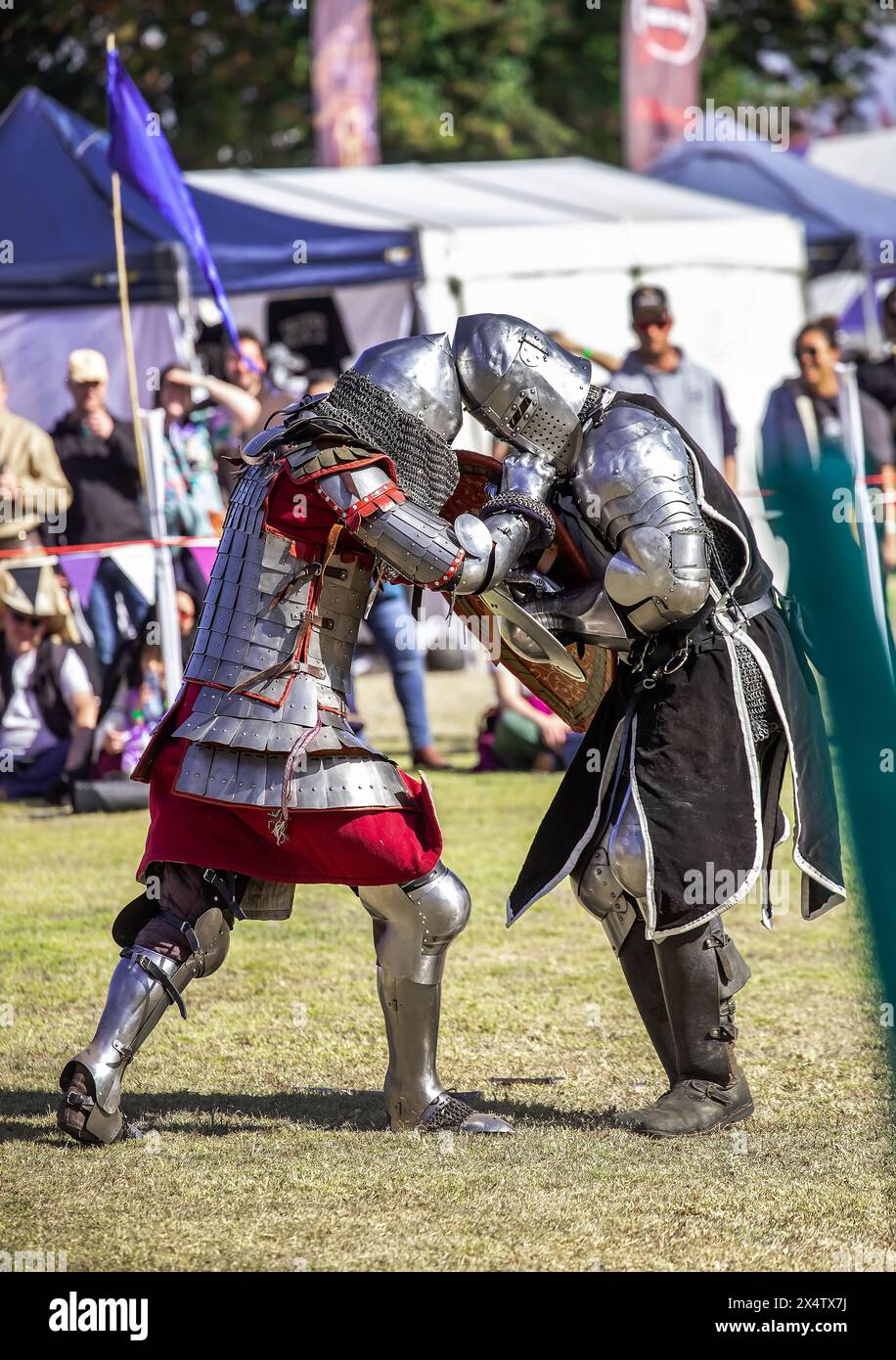 Medieval Fair South Australia, knight jousters, skill at arms ...