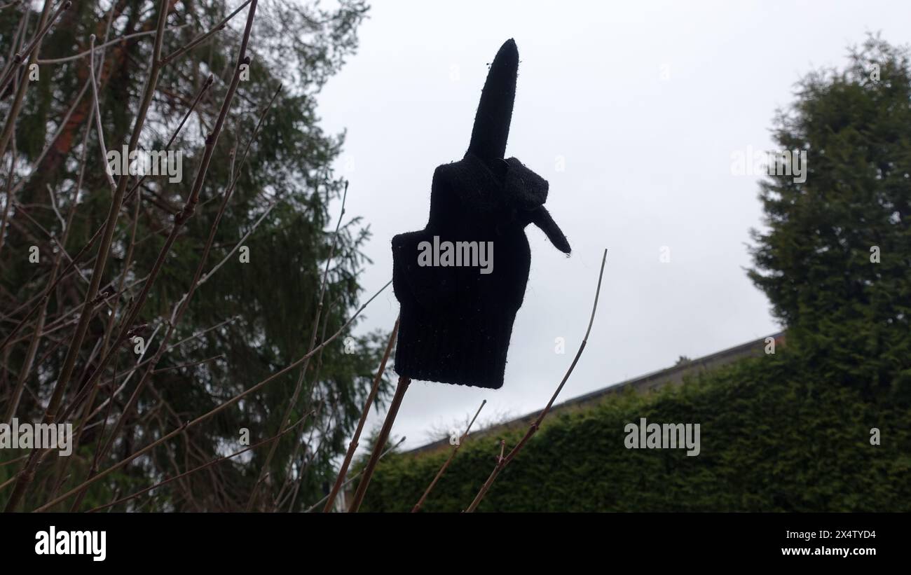 An black glove, placed on a branch, showing the middle finger Stock ...