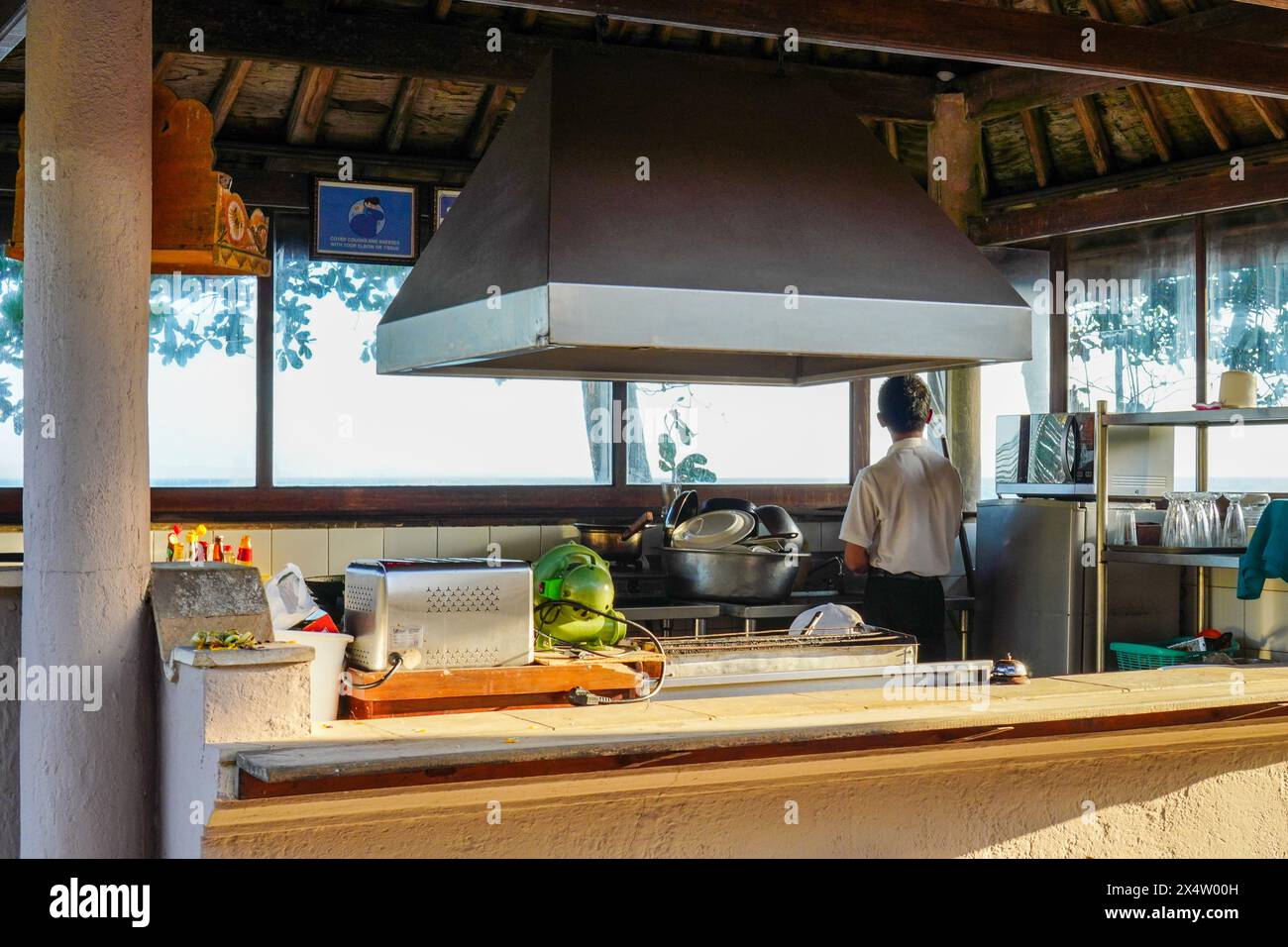 Kitchen Staff Seen from Behind Completing Dishwashing Duties Stock ...
