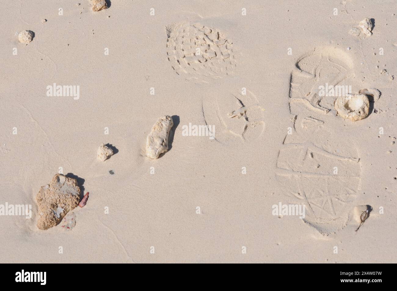 A beach scene with a footprint in the sand. The footprint is in the ...