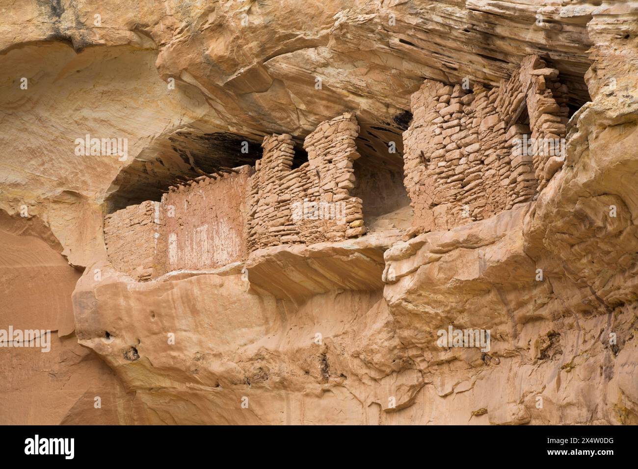 Target Ruins, Ancestral Pueblo, up to 1,000 years old, Bears Ears ...