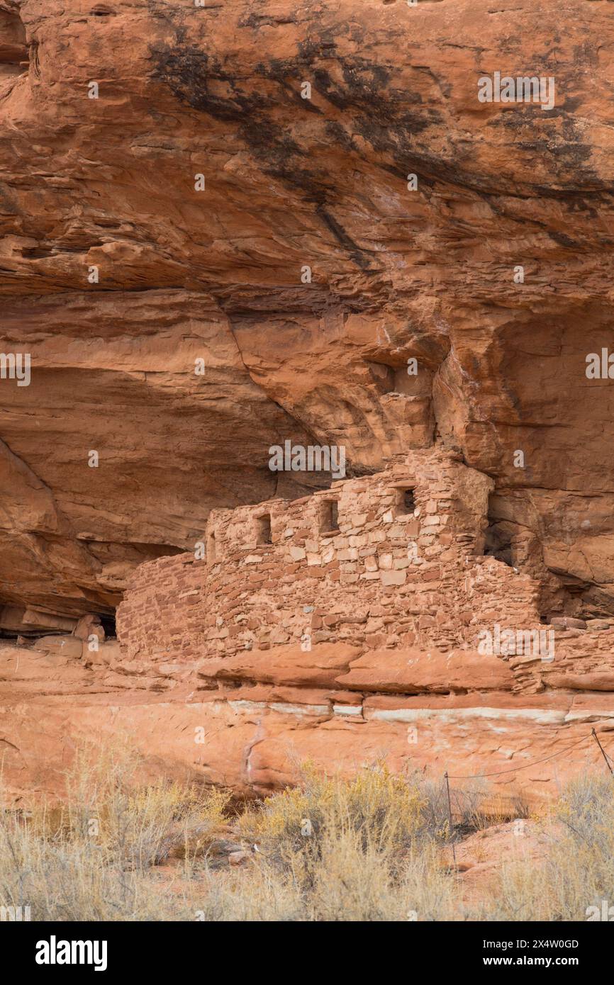 Four Windows Ruins, Ancestral Pueblo, up to 1000 years old, Lower Fish ...