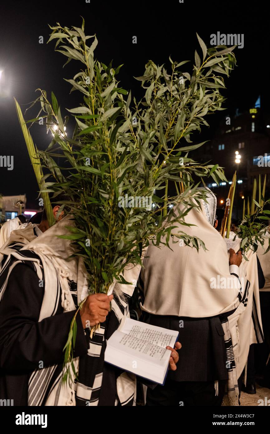 An Orthodox, Jewish man holds a large cluster of long willow branches ...