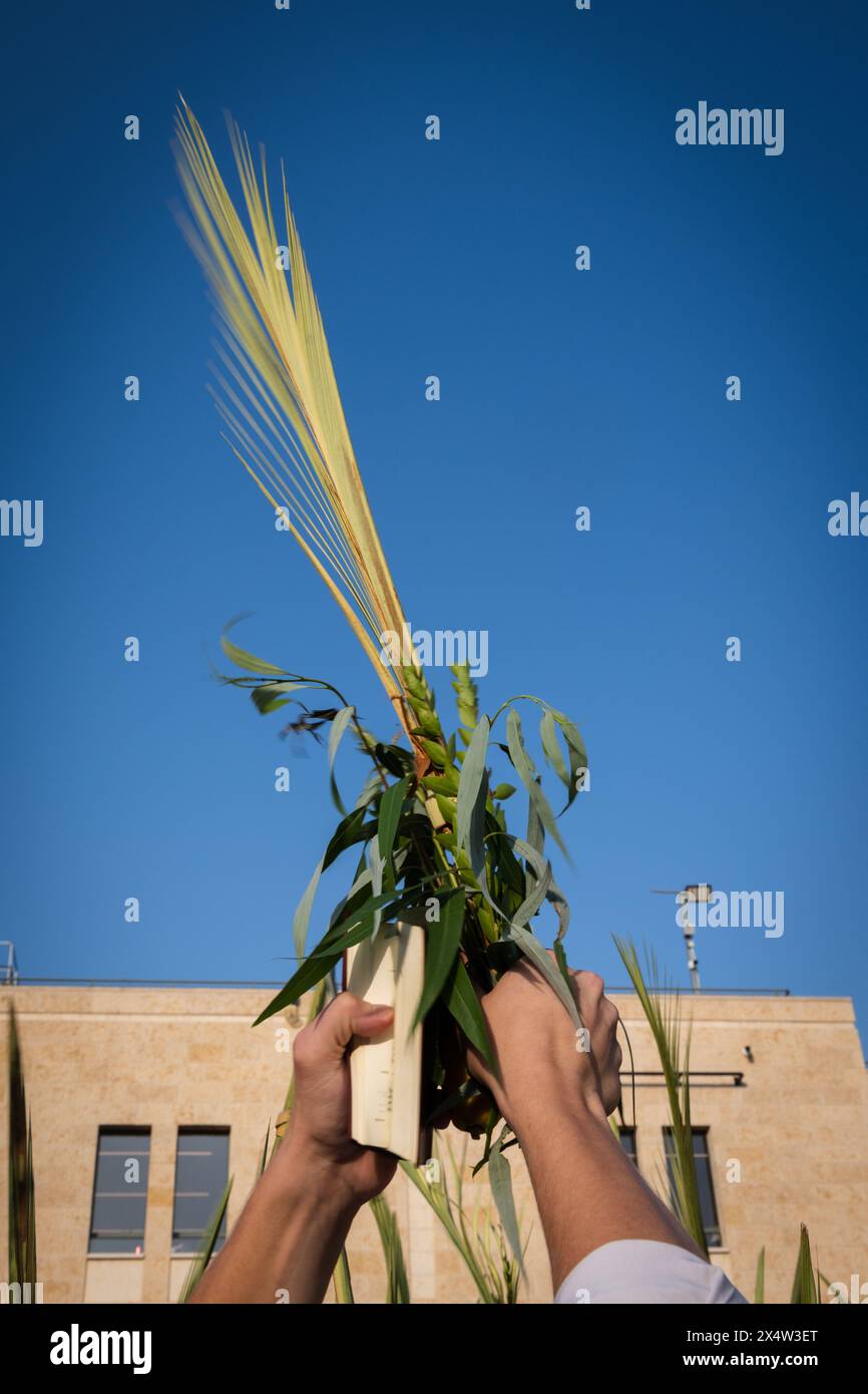 A Jewish man at the Western Wall in Jerusalem raises the four species ...