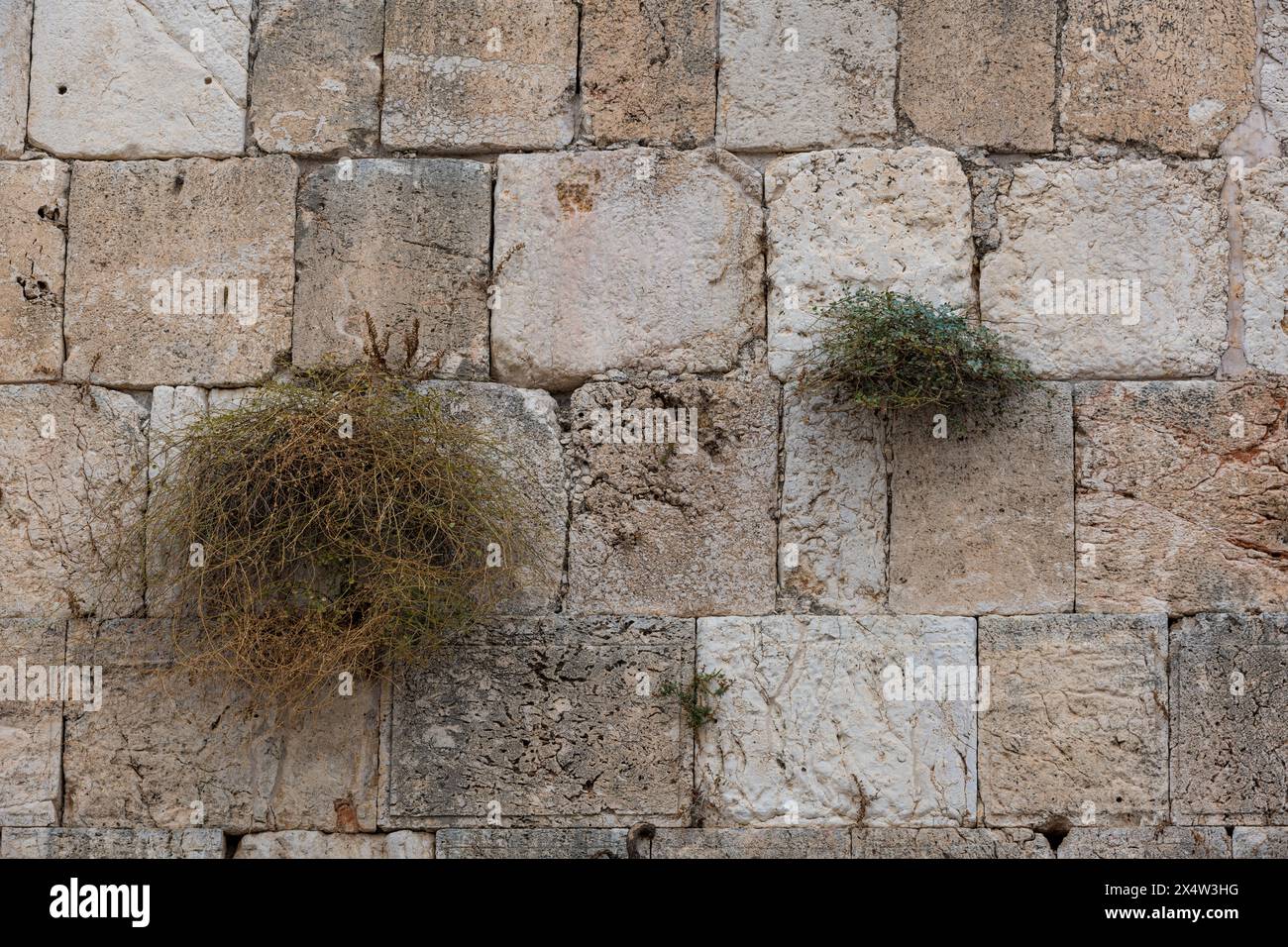 Holy sites in jerusalem hi-res stock photography and images - Alamy