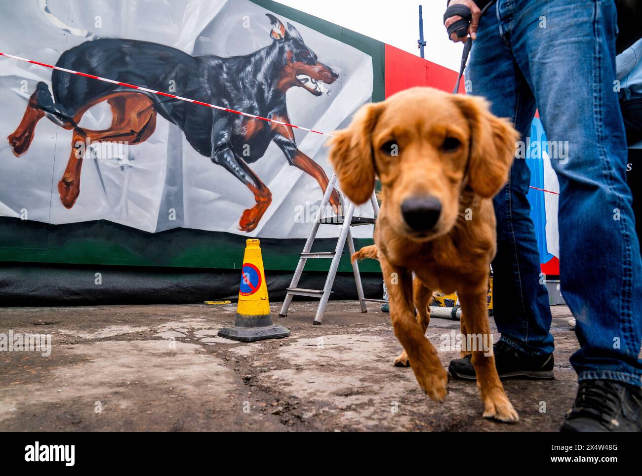 Yoshi the dog explores some of the artwork at the Yardworks Festival ...