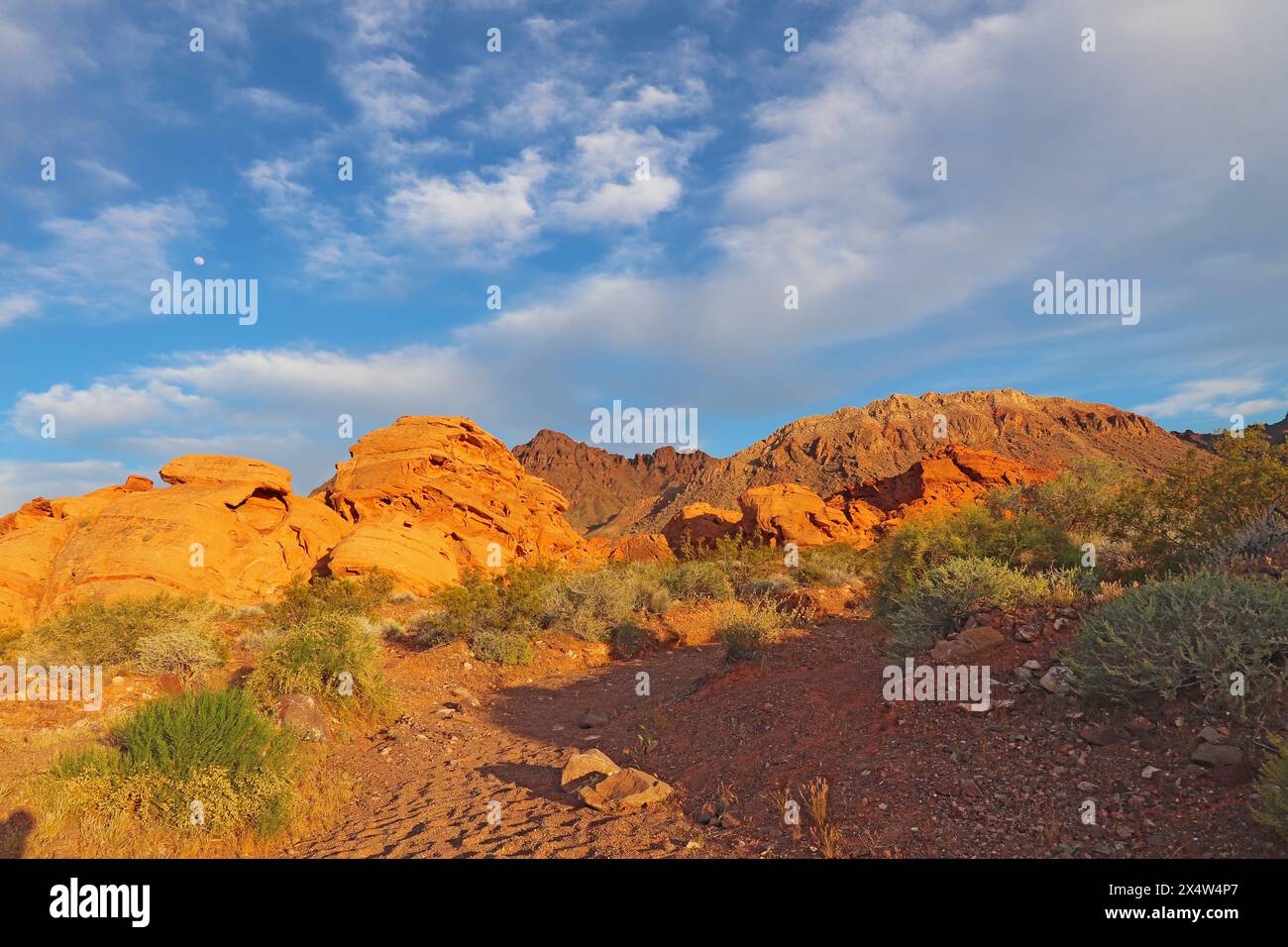 Sandy, dry wash in Lake Mead National Recreation Area off of highway ...