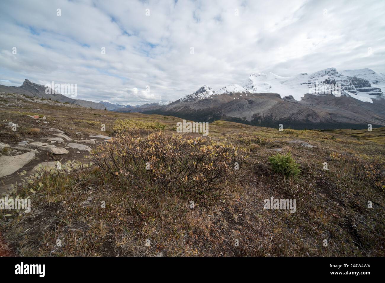 Athabasca Glacier is running from Columbia Icefield which is the ...