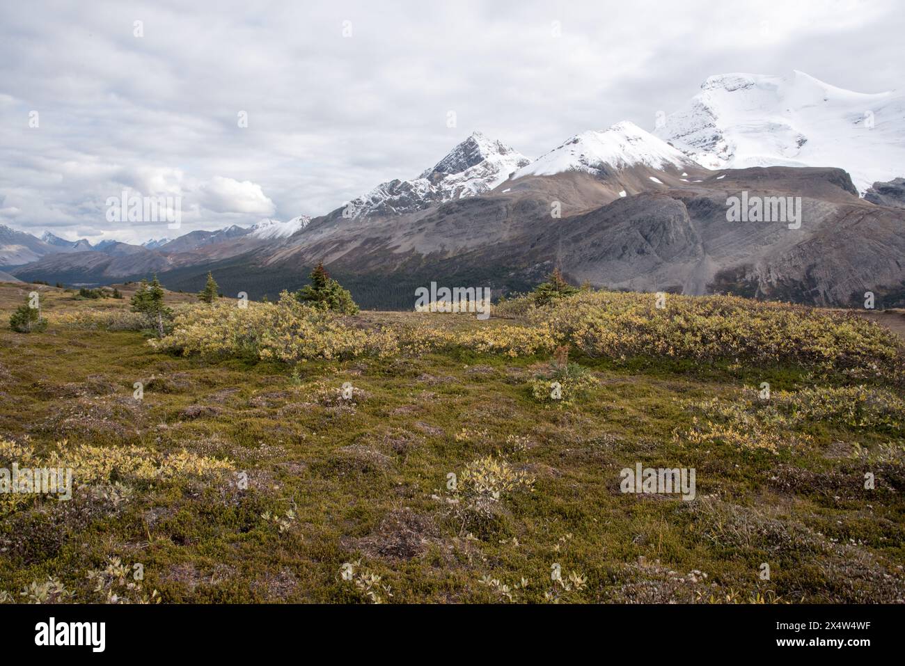 Athabasca Glacier is running from Columbia Icefield which is the ...