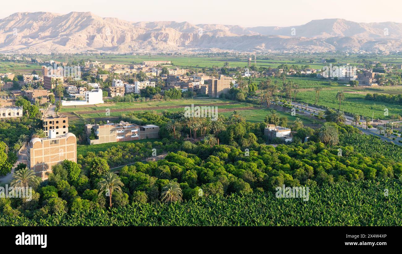 Crops in egypt hi-res stock photography and images - Alamy