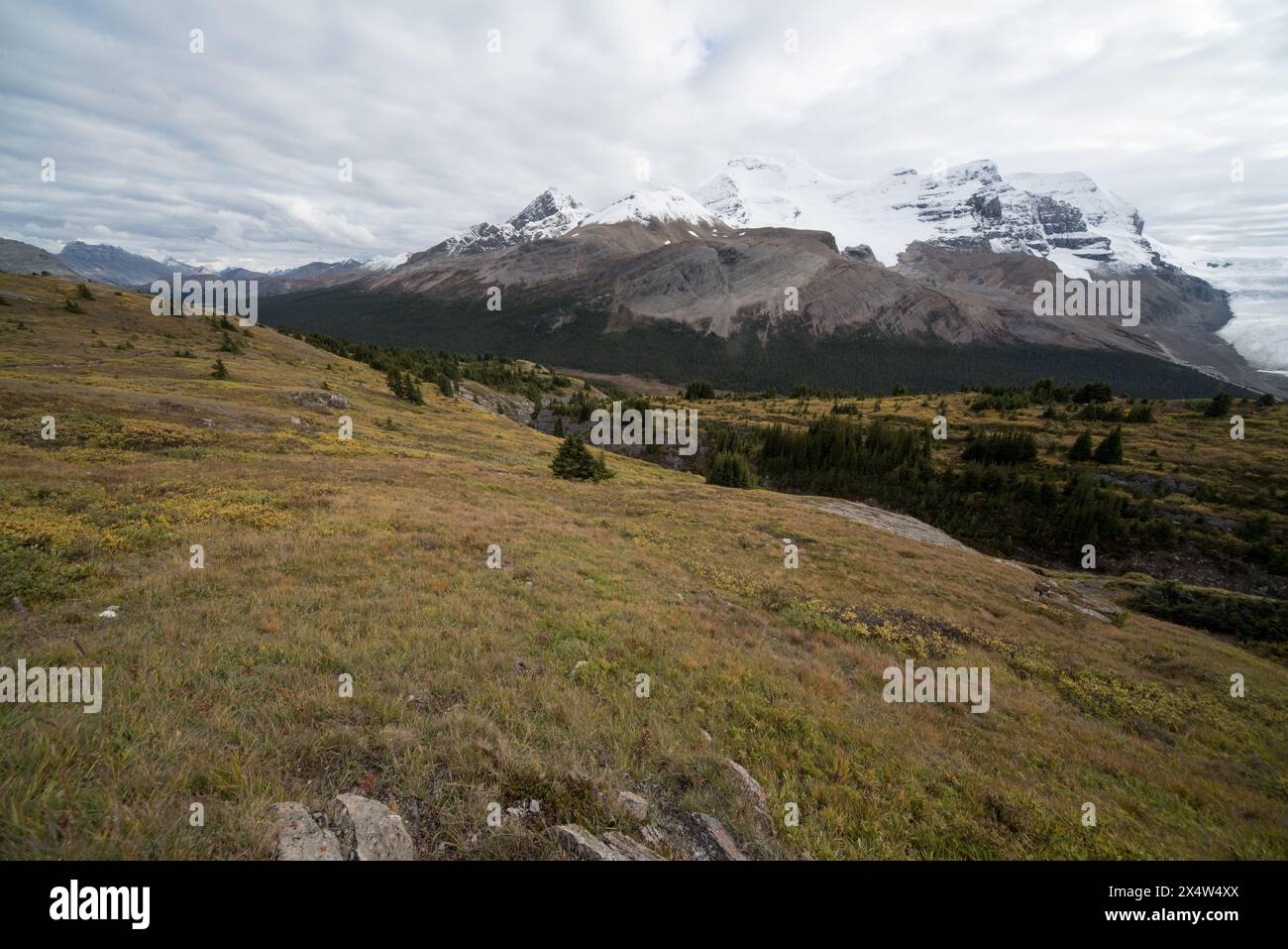 Dome Glacier is running from Columbia Icefield which is the largest ...