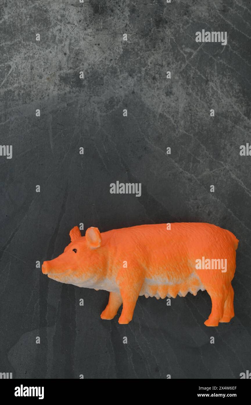 Plastic model of orange pig standing in front of black wall Stock Photo ...