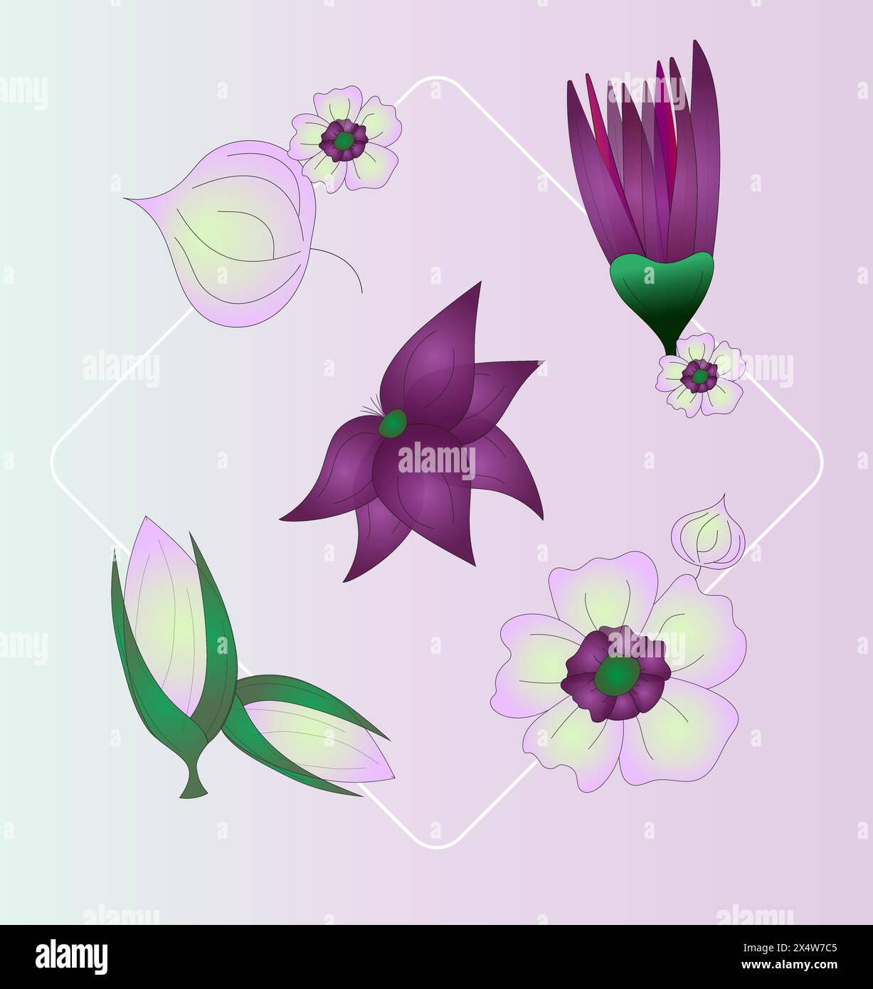 Set of floral botanical leaves, flowers Collage. Vector Illustration ...