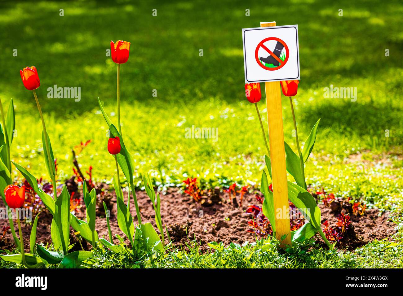 sign prohibiting stepping on the lawn with flowers. flower bed. sign ...