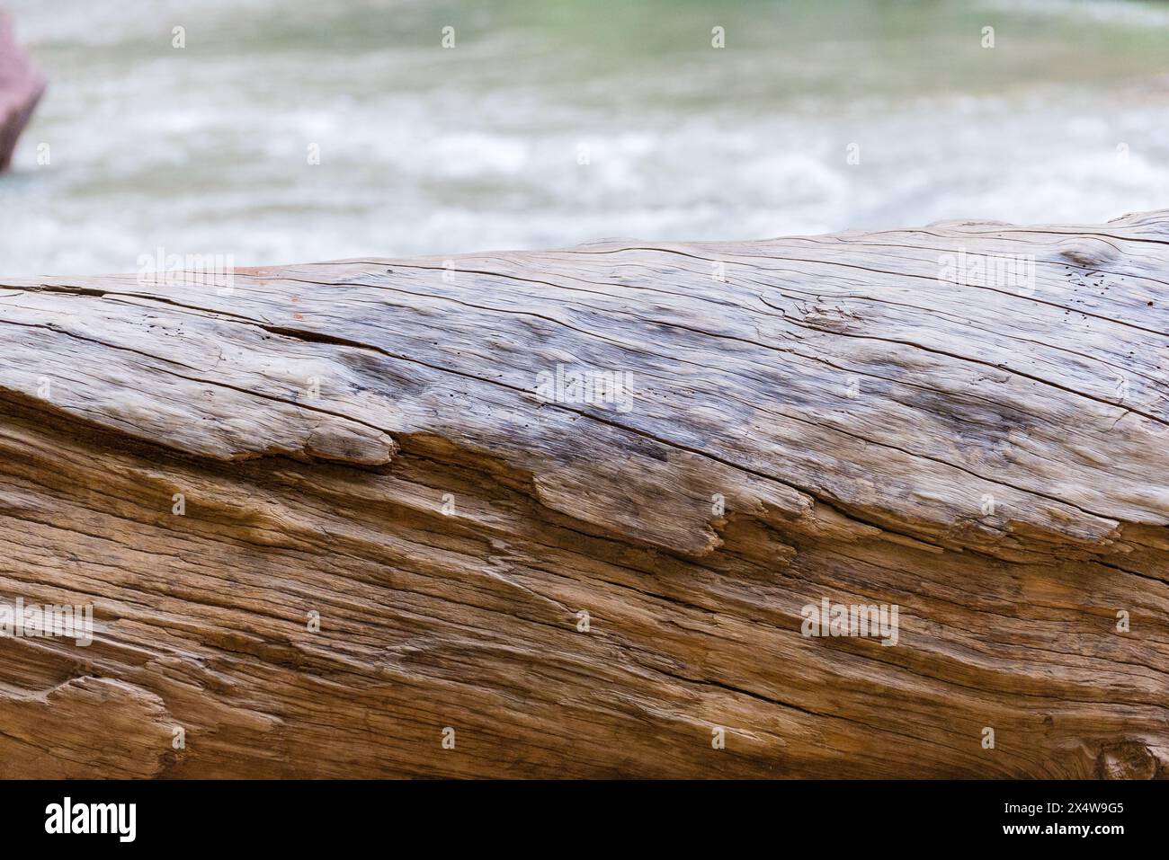 A log with a rough surface and a few small holes. The log is brown and ...