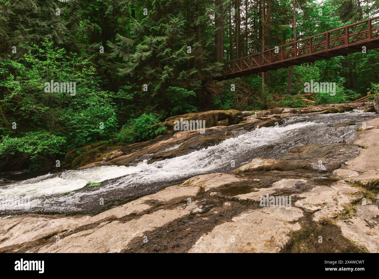 River Creek and Wooden Bridge in Lacamas Regional Park, Washington, USA ...