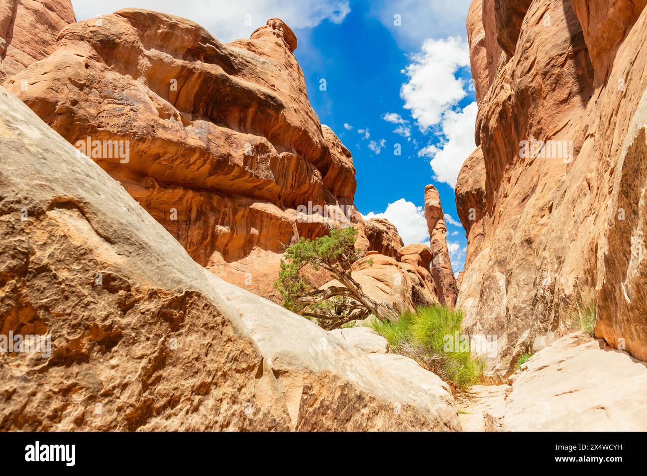 Narrow Sandstone Desert Rock Canyon with Steep Walls in Fiery Furnace ...