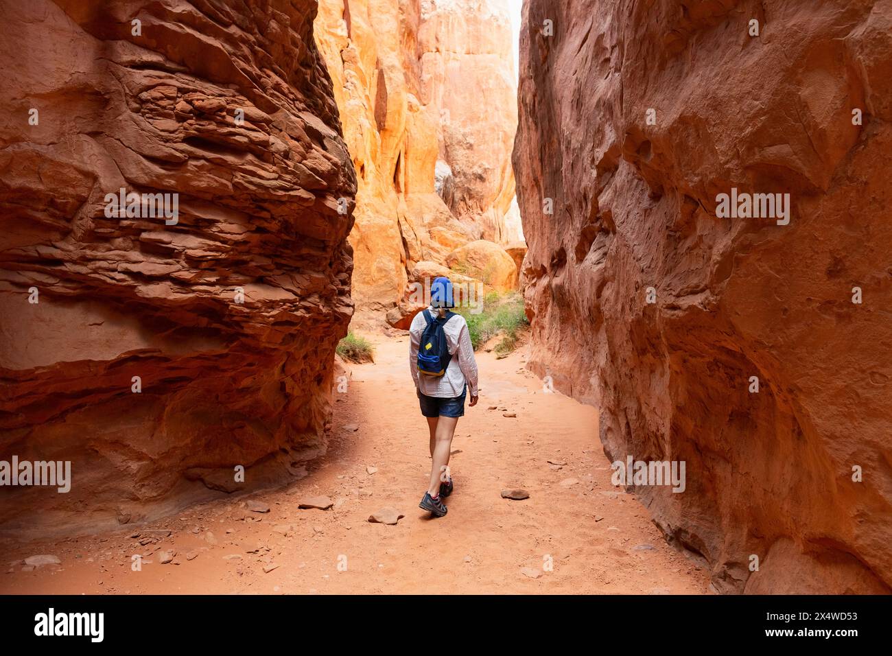 Woman Hiking through Narrow Sandstone Desert Rock Canyon Trail in Fiery ...