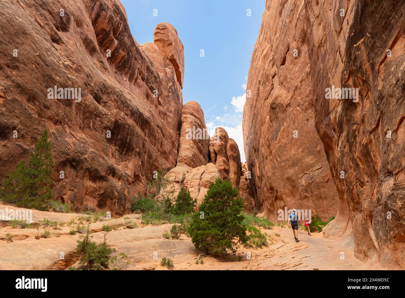 Tourists Hiking Narrow Sandstone Desert Rock Canyon with Steep Walls in ...