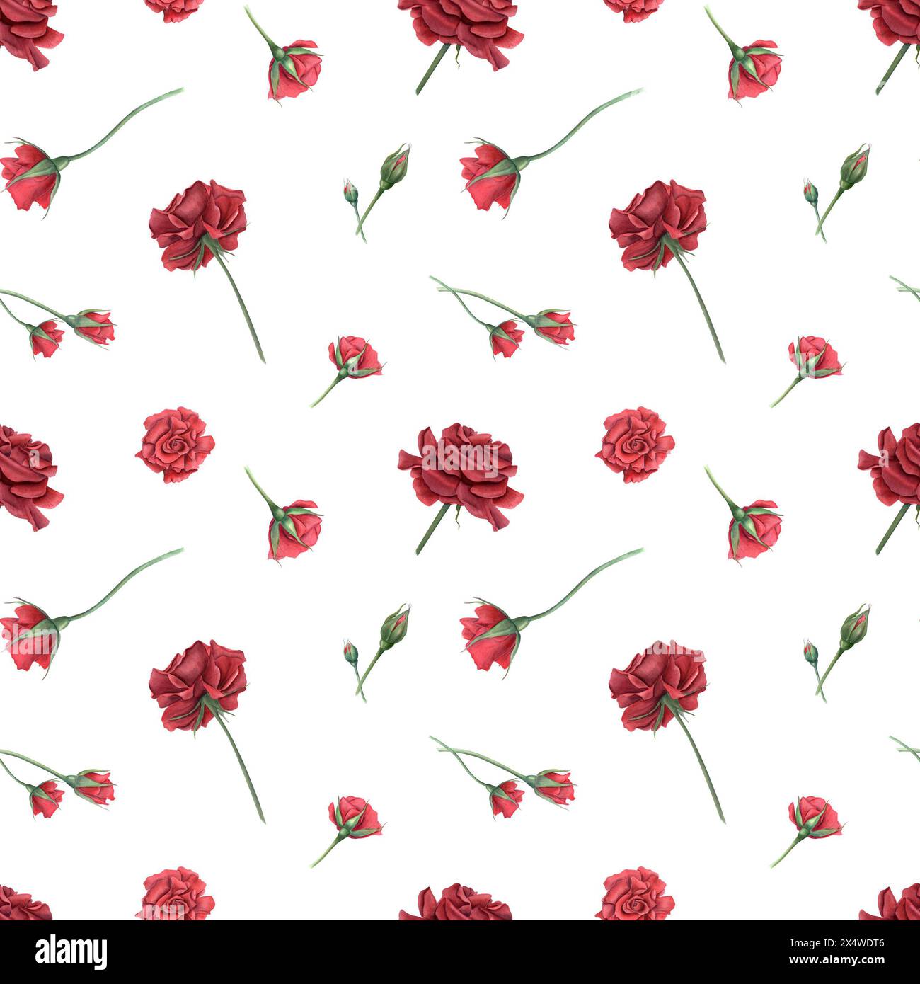 Rose with buds on stem. Deep red, scarlet roses. Seamless pattern of ...