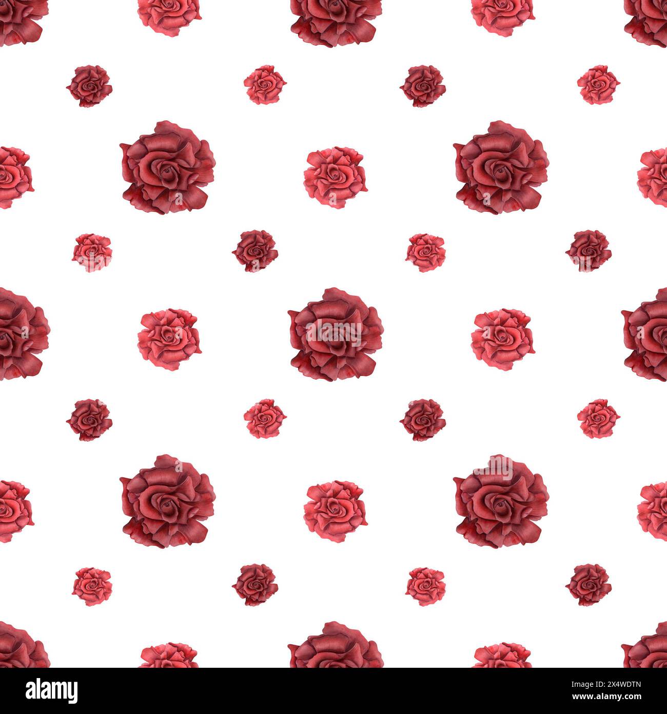 Rose heads. Deep red flowers. Seamless pattern of summer ruby plants ...