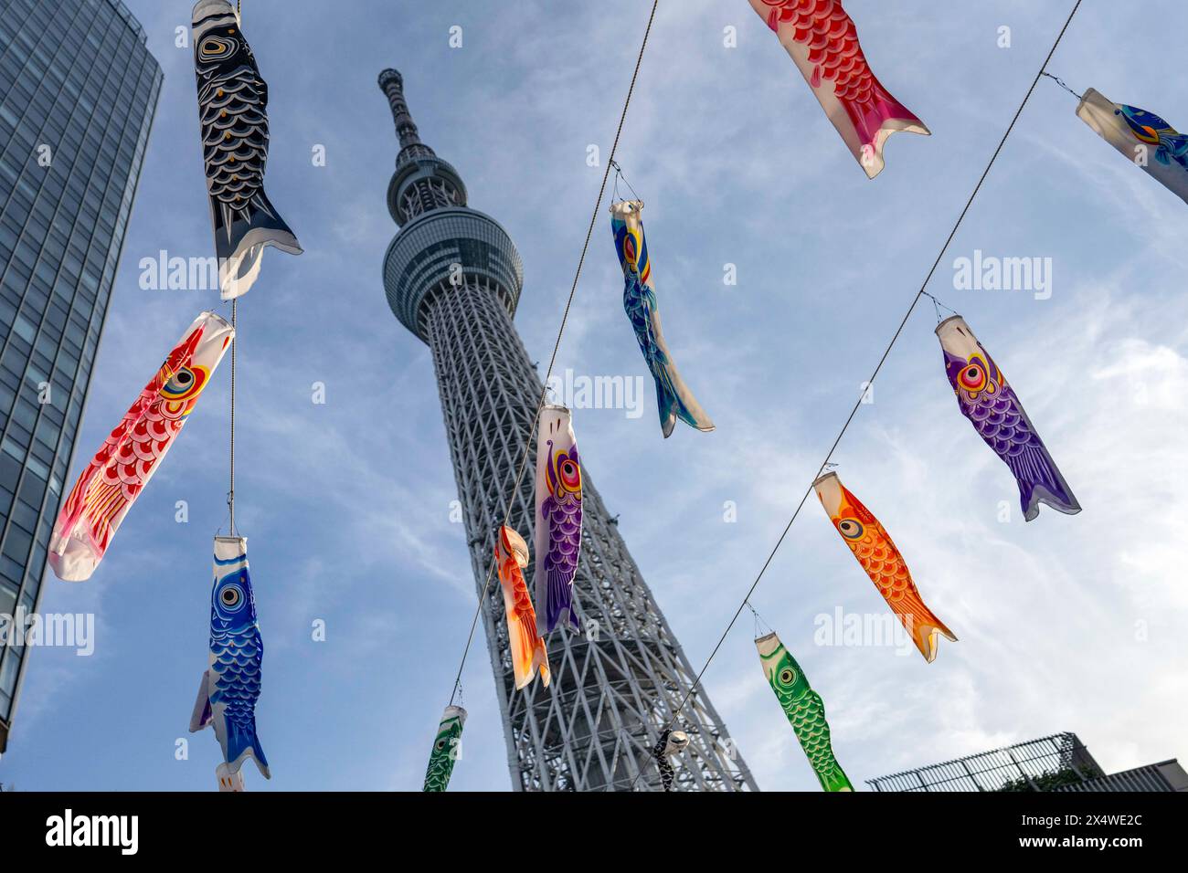 Tokyo, Japan. 5th May, 2024. Traditional carp-shaped windsocks called ...