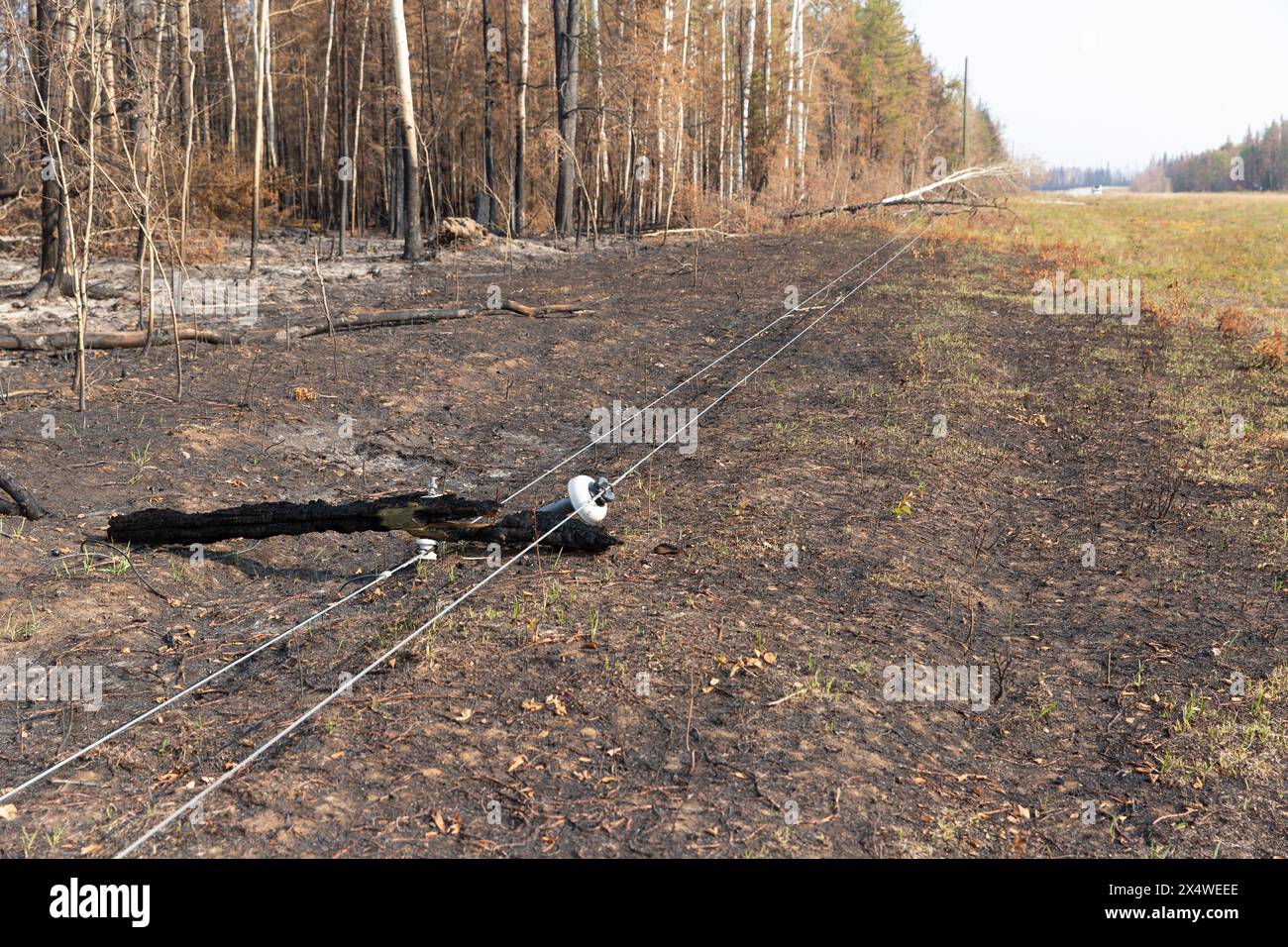 Burned power pole from wildfire along Highway 1, near community of ...