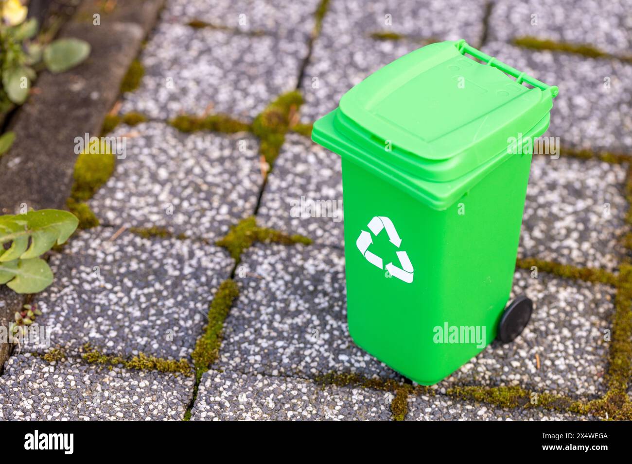 Miniature green garbage bin for biodegradable waste, standing on the ...