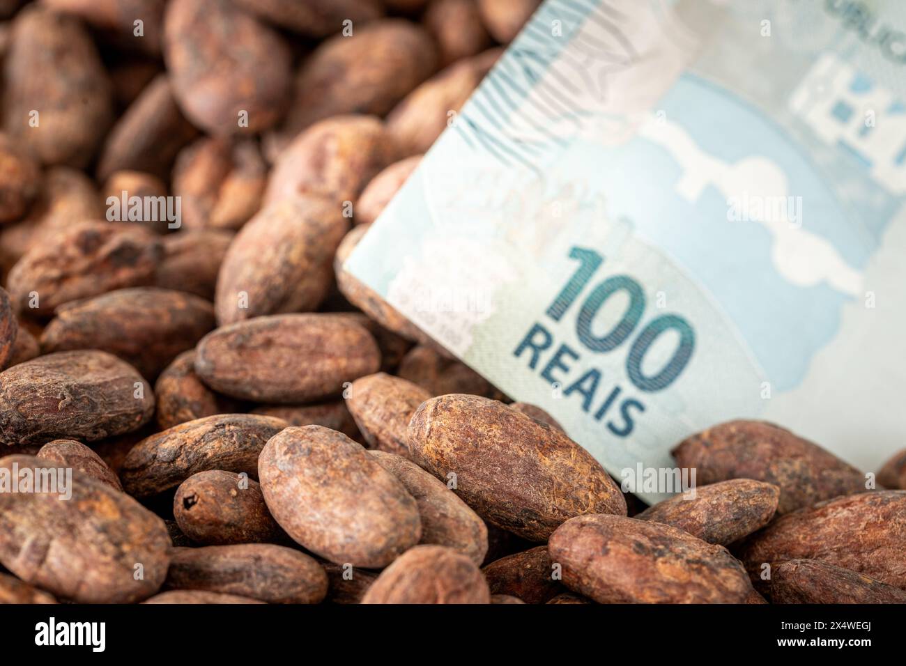 Cocoa factory brazil hi-res stock photography and images - Alamy
