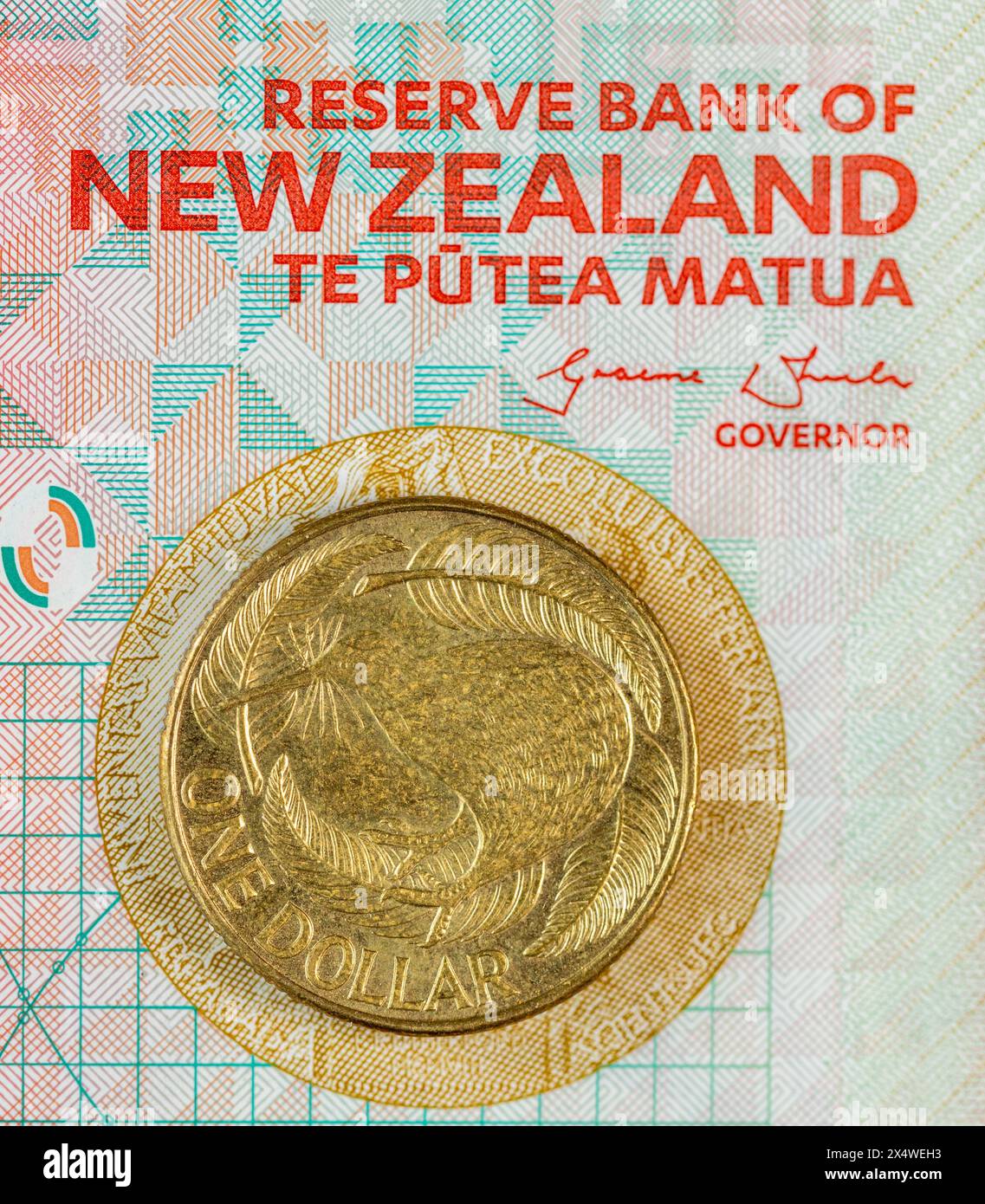 New Zealand money, flat lay, 1 dollar coin and fragment of 100 dollars ...