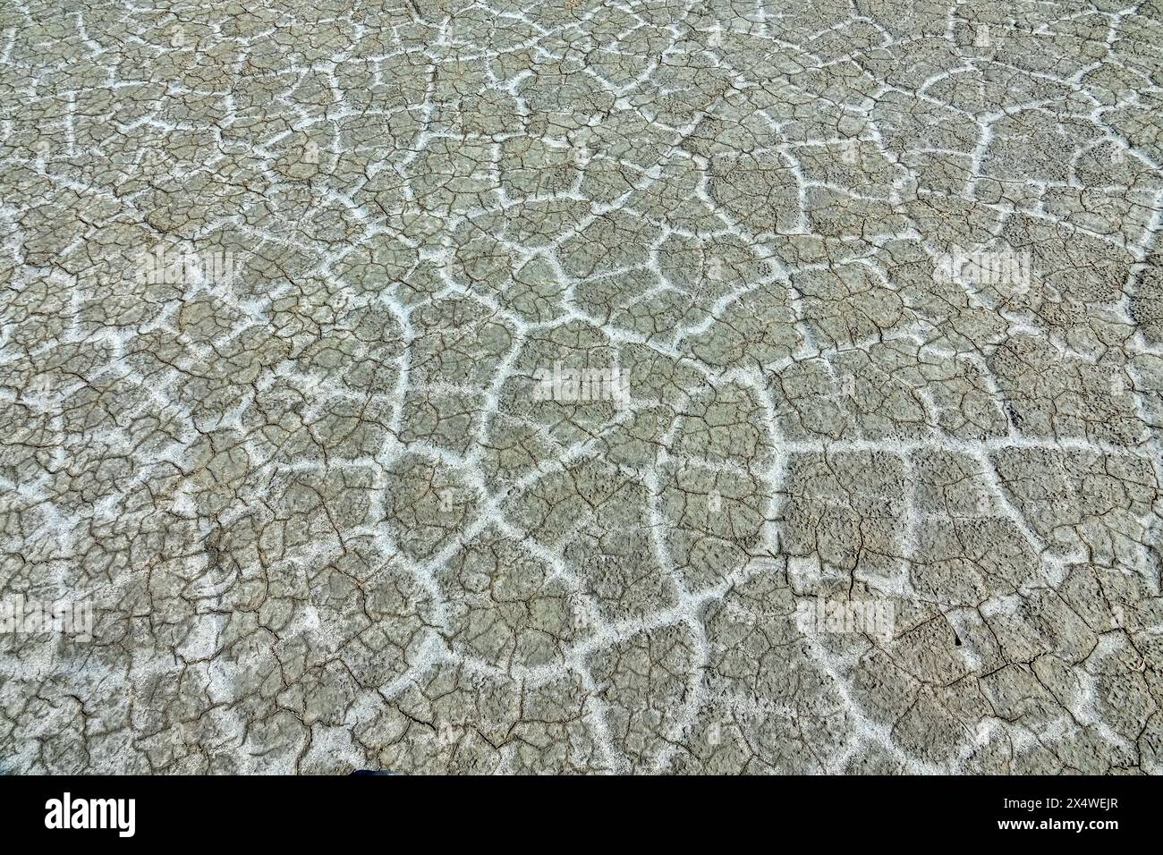 Dissection earth hi-res stock photography and images - Alamy