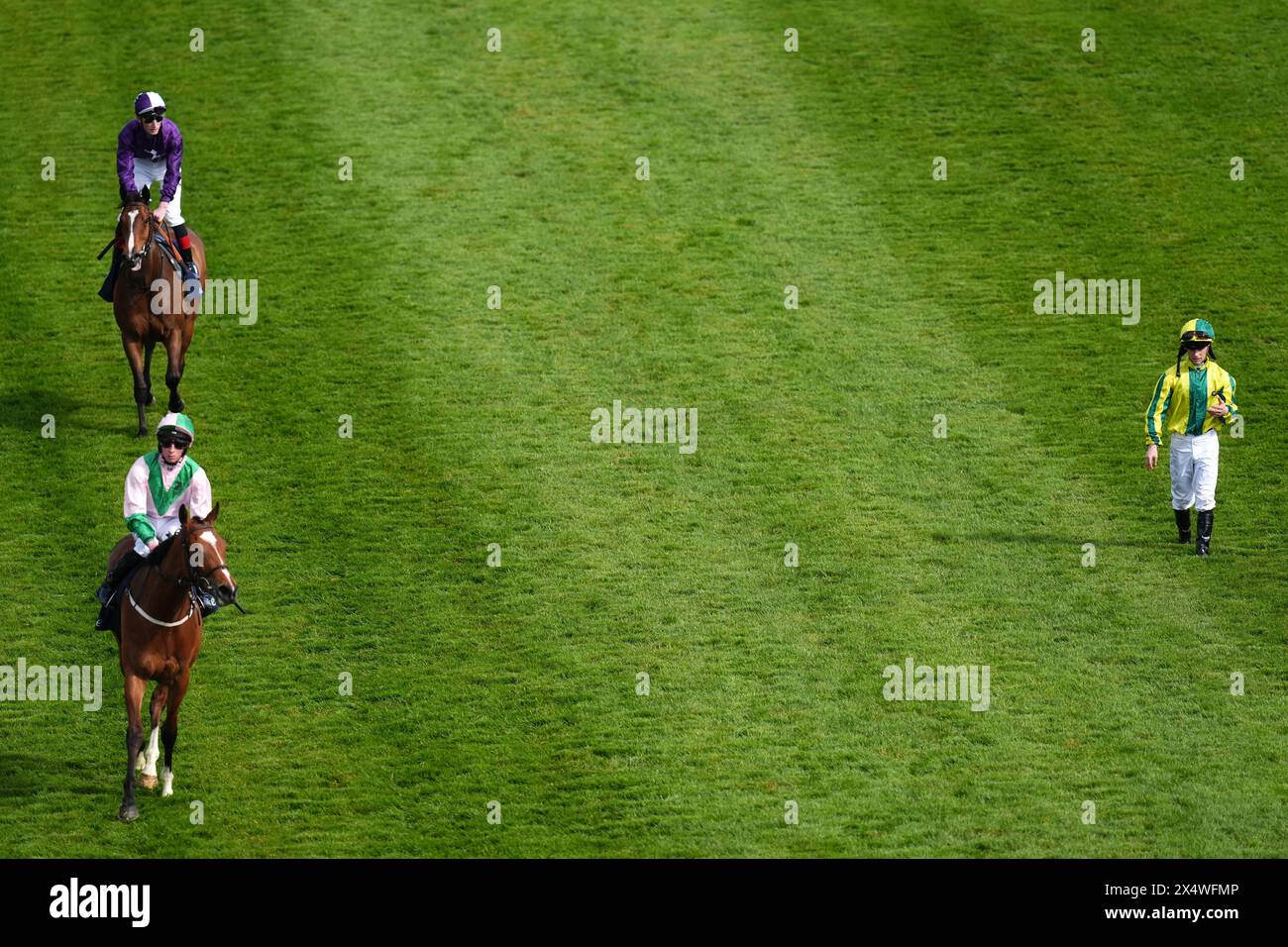 Jason Hart walks back in after being unseated from Baileys Jubilation ...