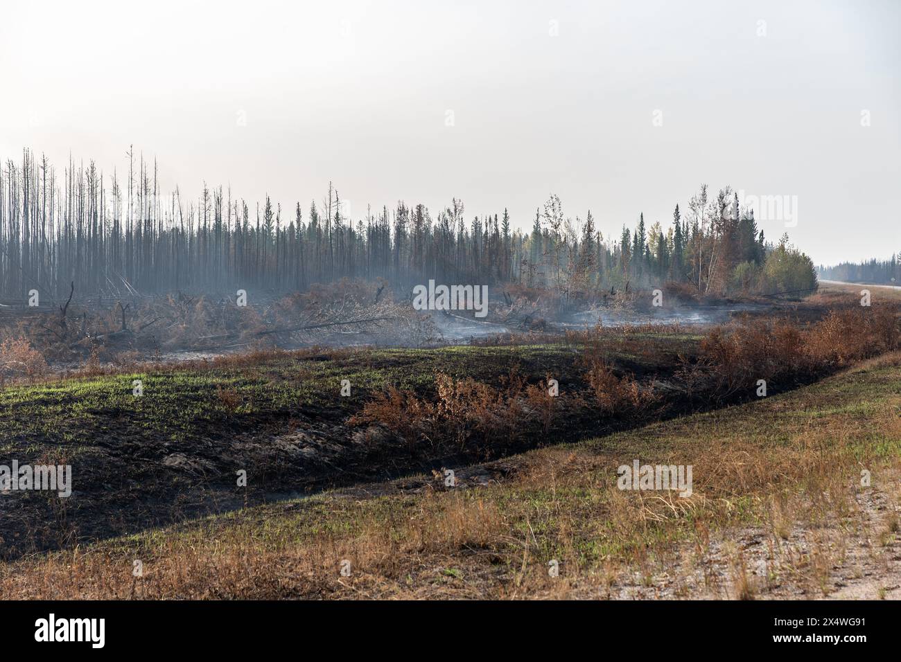 Smoke and burning ground cover along highway from wildfire in Northwest ...