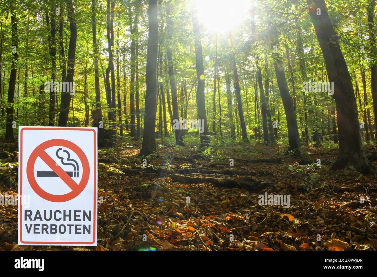 No smoking sign in forest hi-res stock photography and images - Alamy