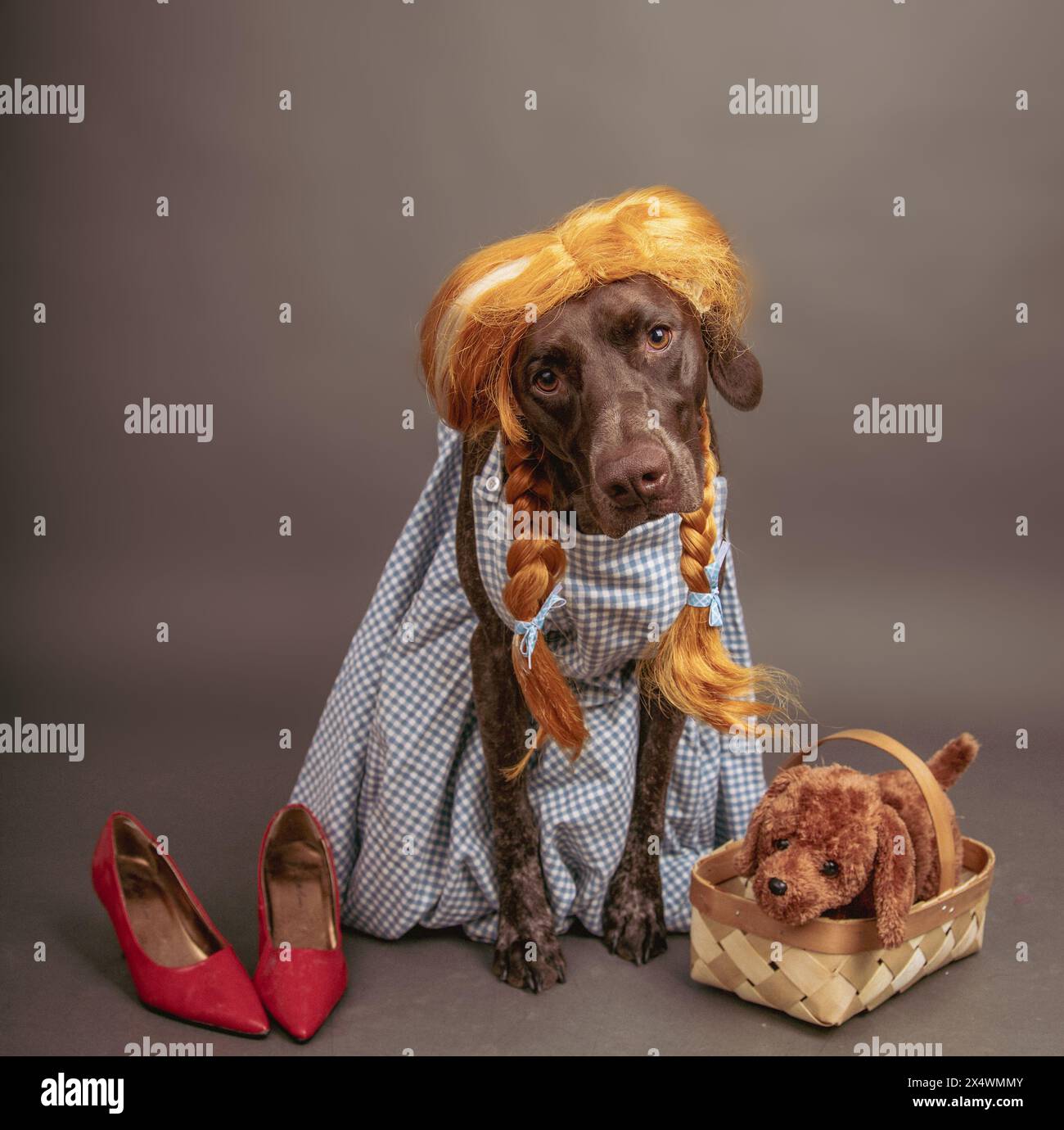 Wizard of oz character hi-res stock photography and images - Alamy