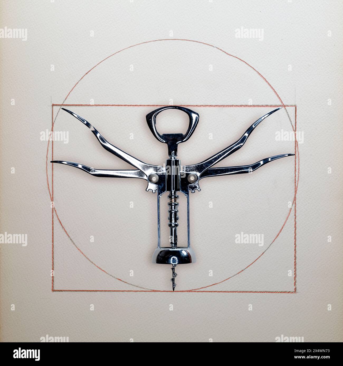 The leonardo da vinci circle hi-res stock photography and images - Alamy