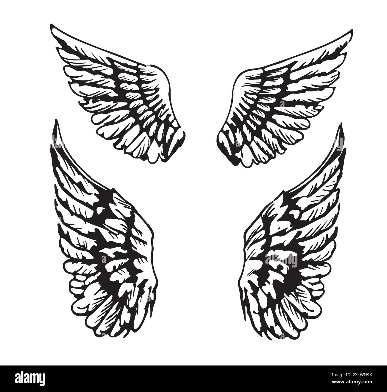 Wings . Hand drawn detailed wings collection. Vector Stock Vector Image ...