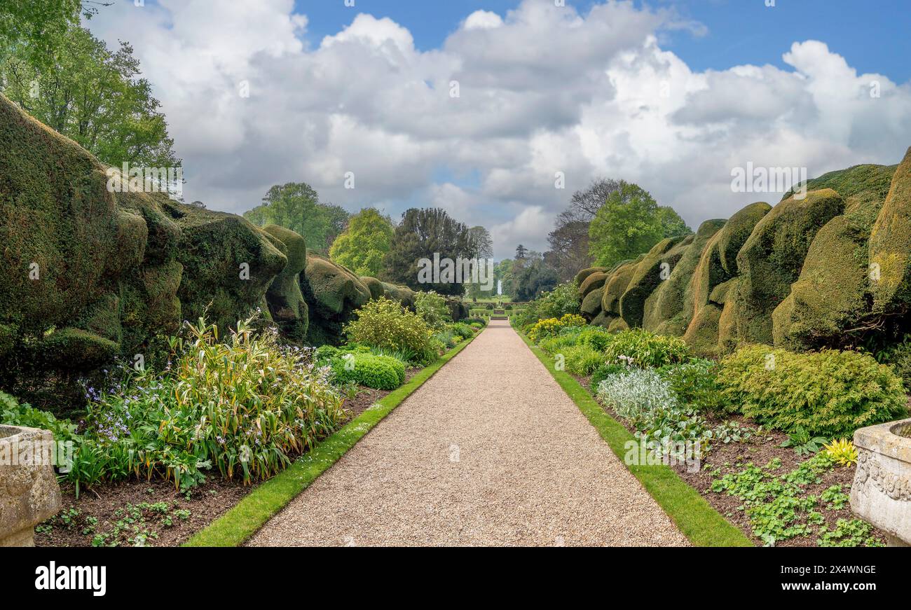 The Broadwalk,and,Cloud Hedge,Walmer Castle,Kent,England Stock Photo ...