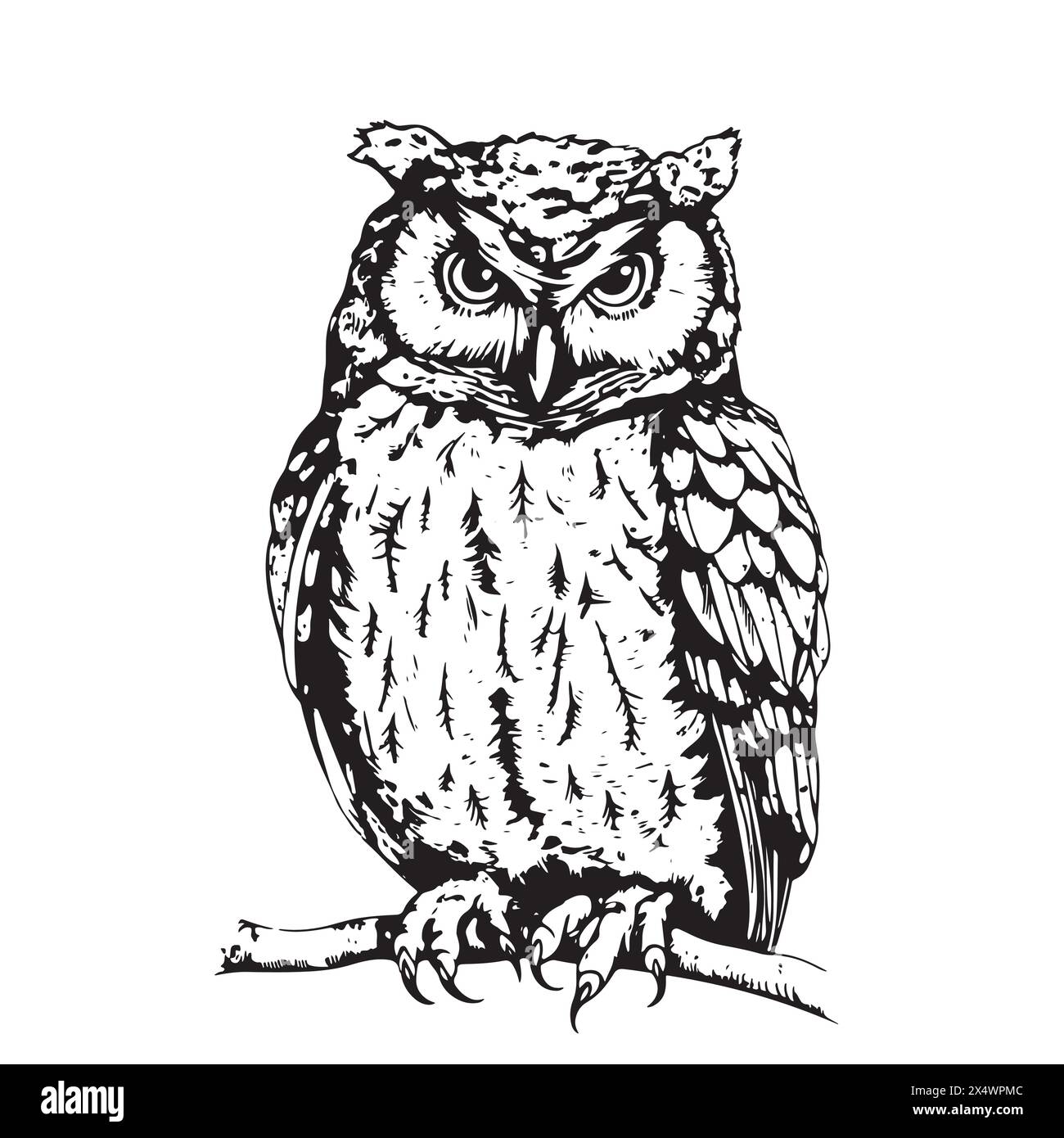 Hand Drawn Engraving Pen and Ink Owl Vintage Vector illustration Stock ...
