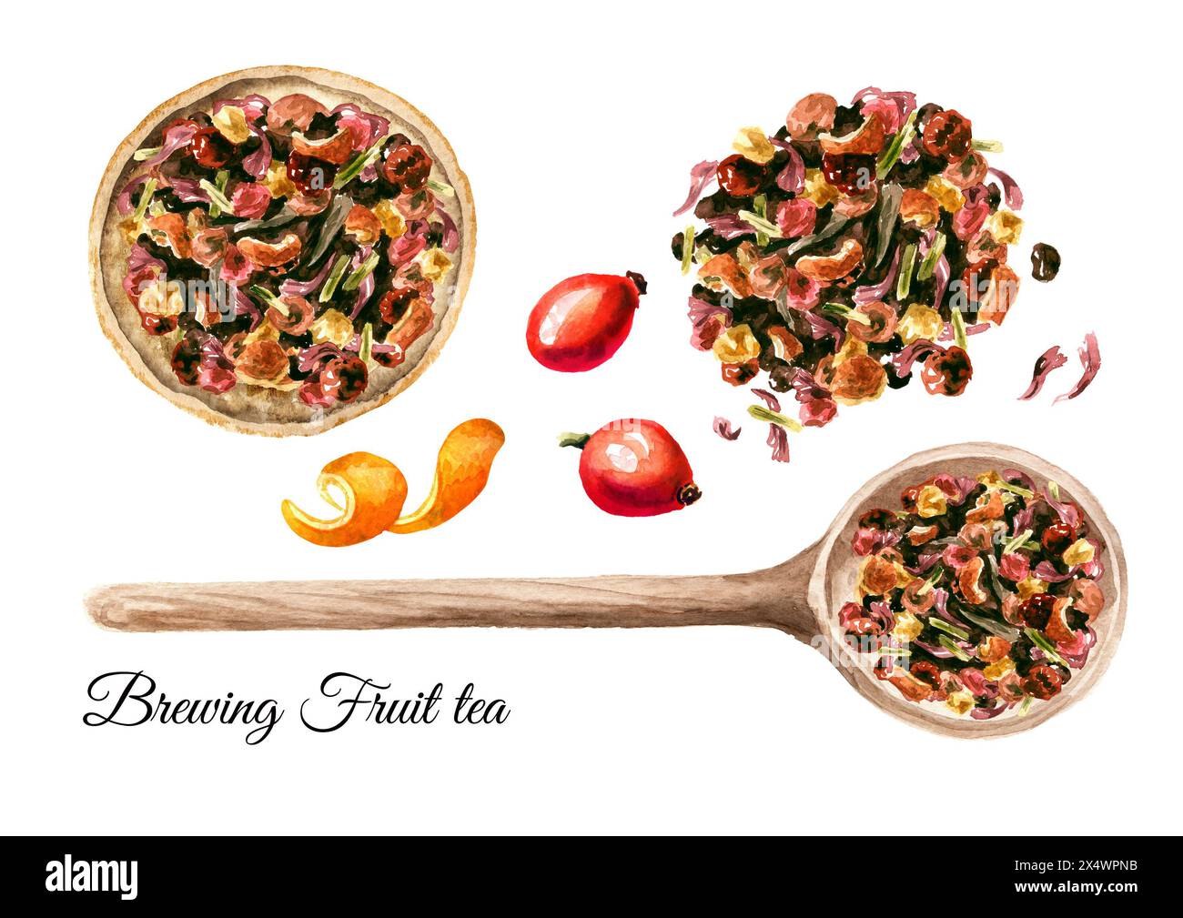 Fruit tea brewing set, top view. Hand drawn watercolor illustration ...