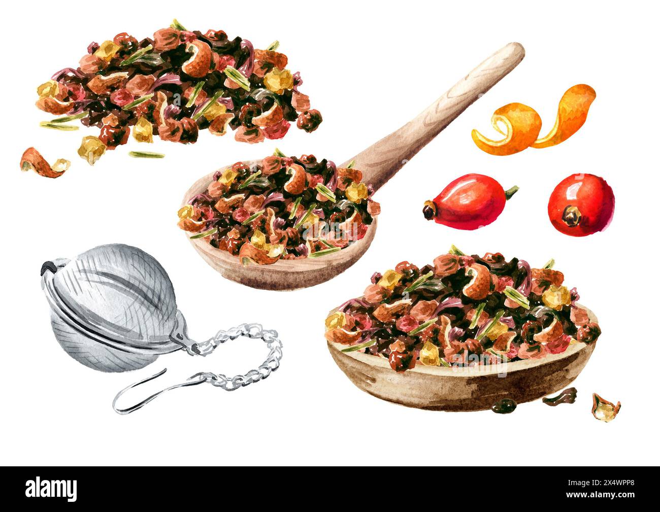 Fruit tea brewing set. Hand drawn watercolor illustration isolated on ...