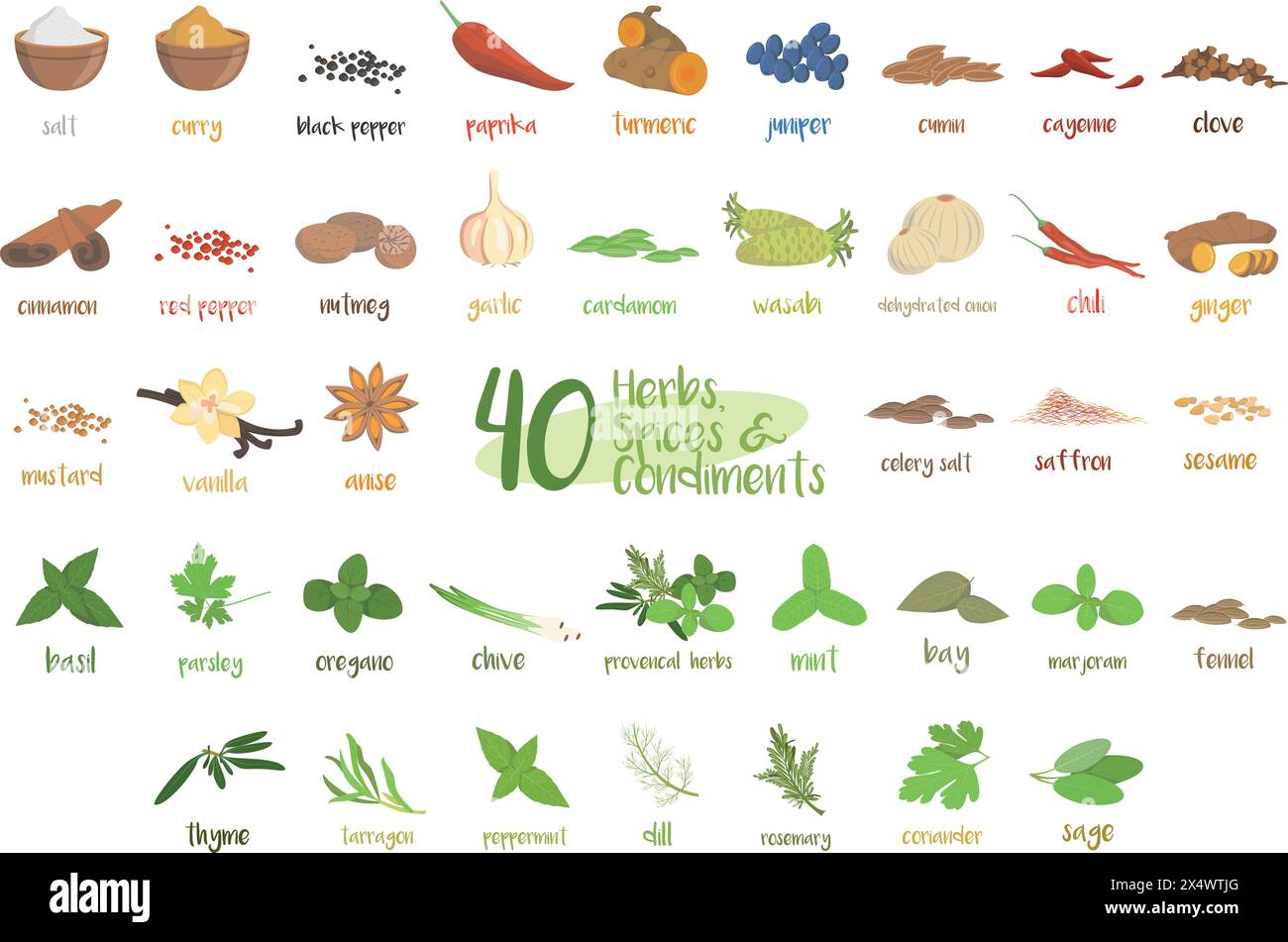 Set of 40 different culinary herbs, species and condiments in cartoon ...