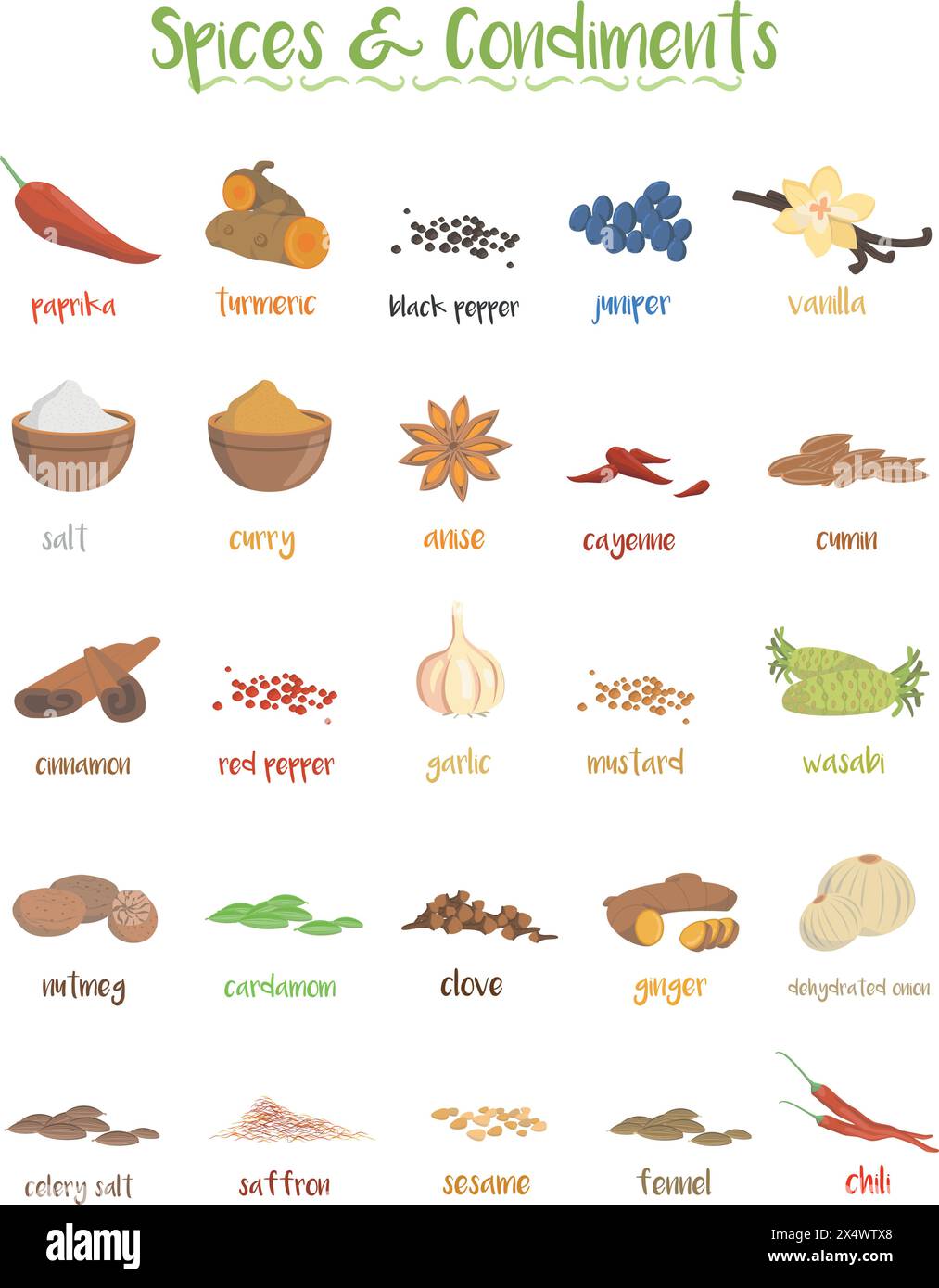 Set of 25 different culinary species and condiments in cartoon style ...