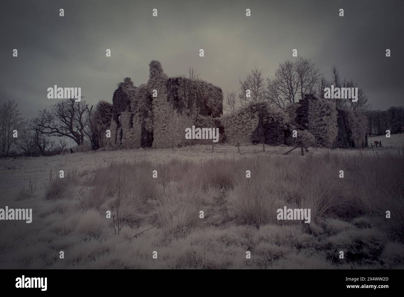 the ruins o gight castle at braes of gight near methlick Aberdeenshire ...