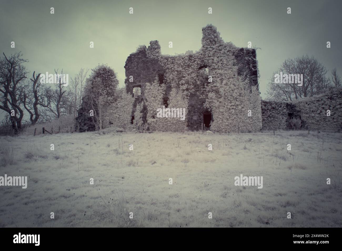 the ruins o gight castle at braes of gight near methlick Aberdeenshire ...