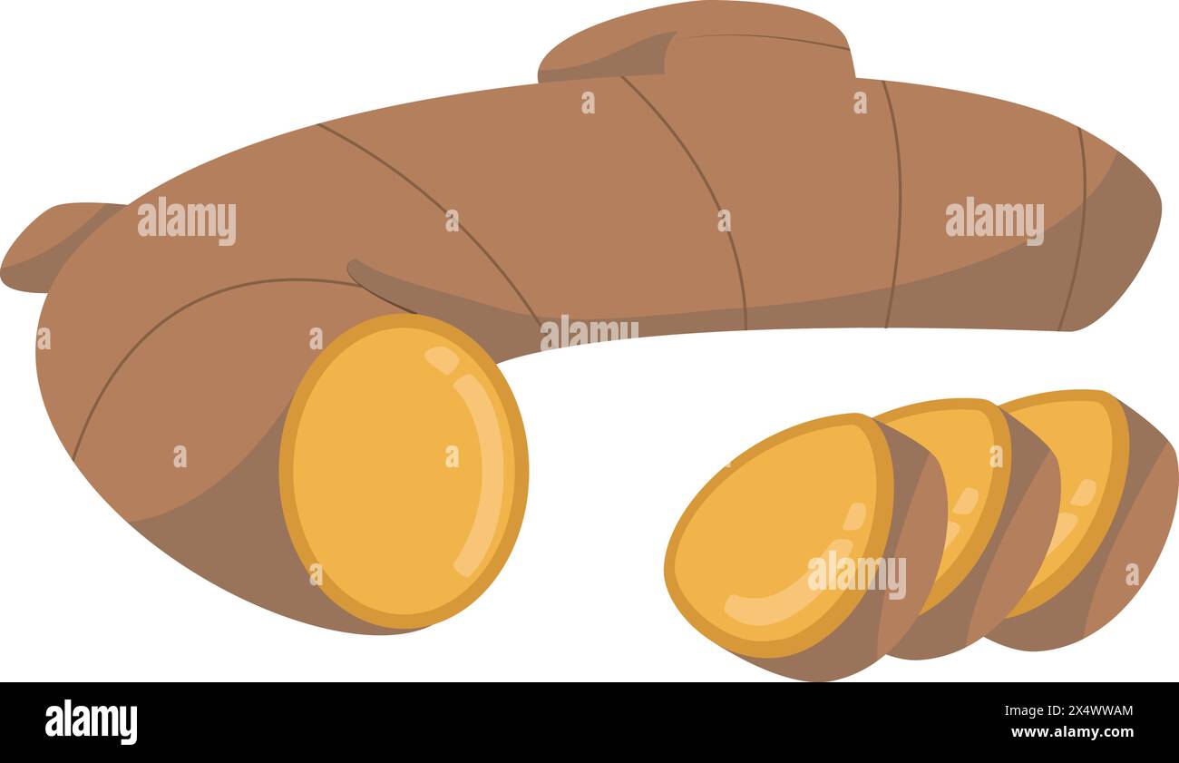 Vector ginger illustration isolated in cartoon style. Herbs and Species ...