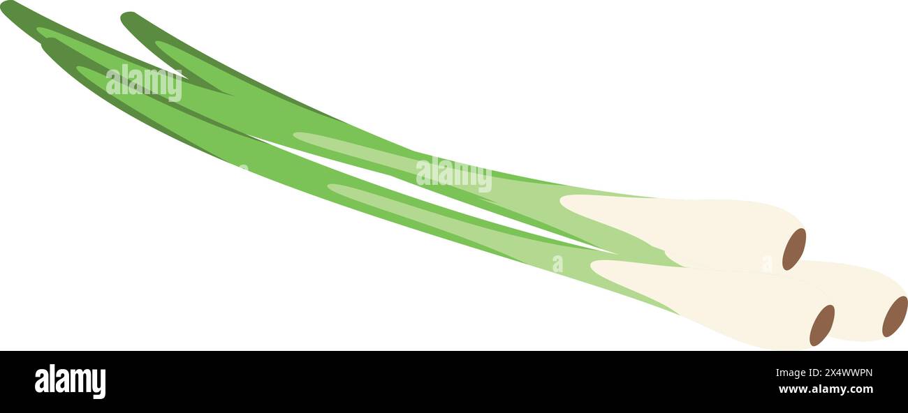 Vector chive illustration isolated in cartoon style. Herbs and Species ...